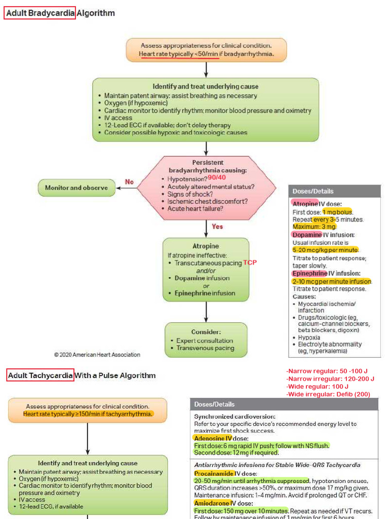 AHA Algorithms | PDF