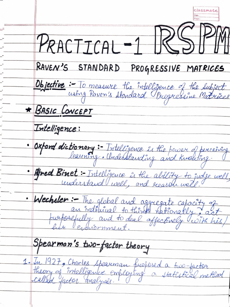 Raven's Matrices Test Guide | PDF