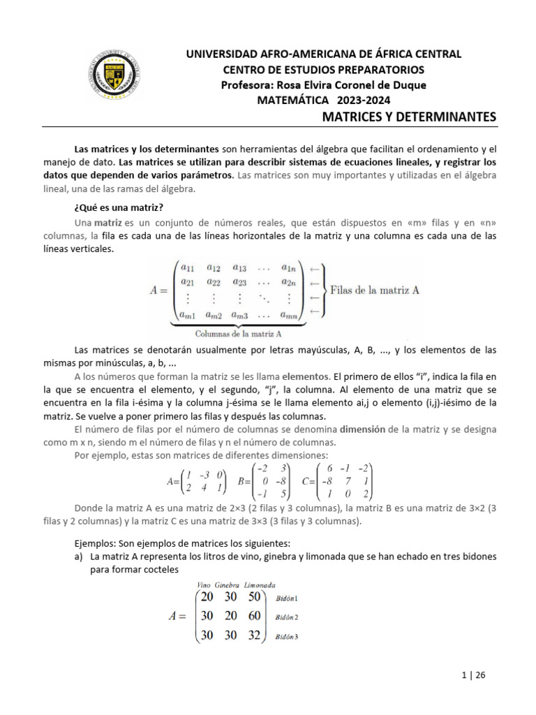 Tema 4 Matrices y Determinantes | Descargar gratis PDF | Determinante ...