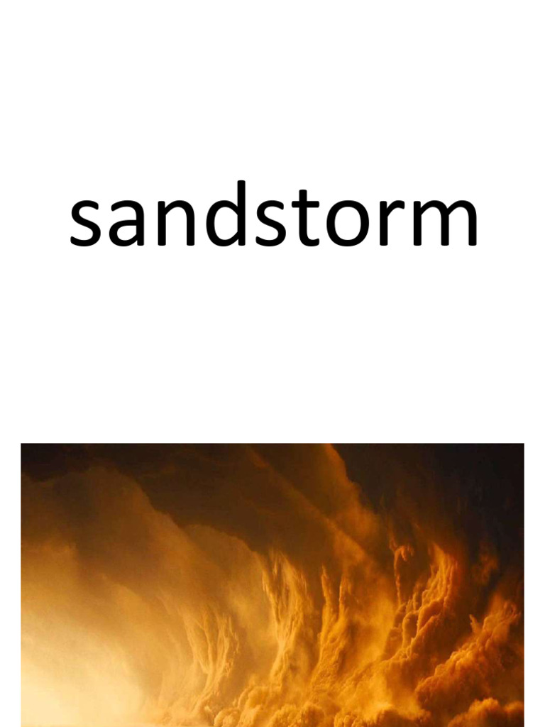 Unit 4 Flash Cards | PDF