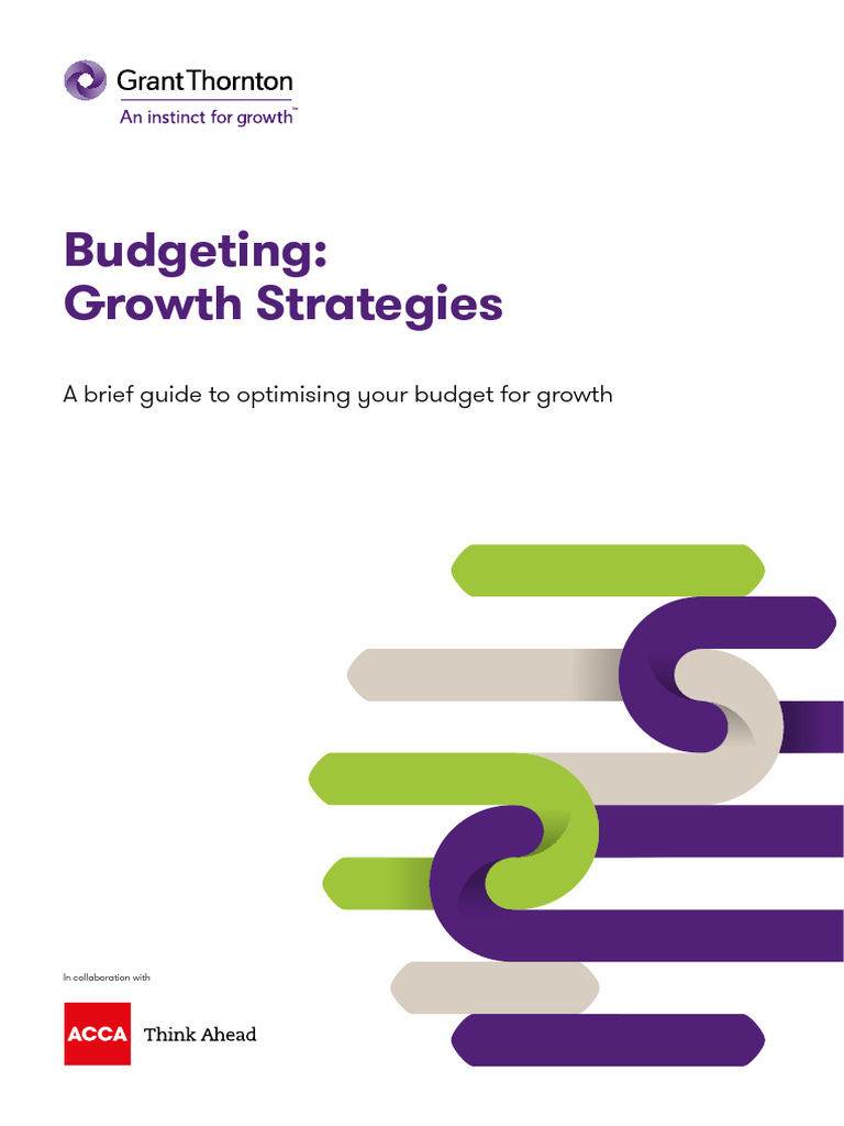 Budgeting Strategies | PDF | Forecasting | Economies