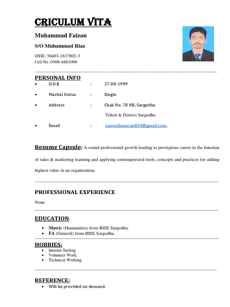 MUHAMMAD FAIZAN CV | PDF