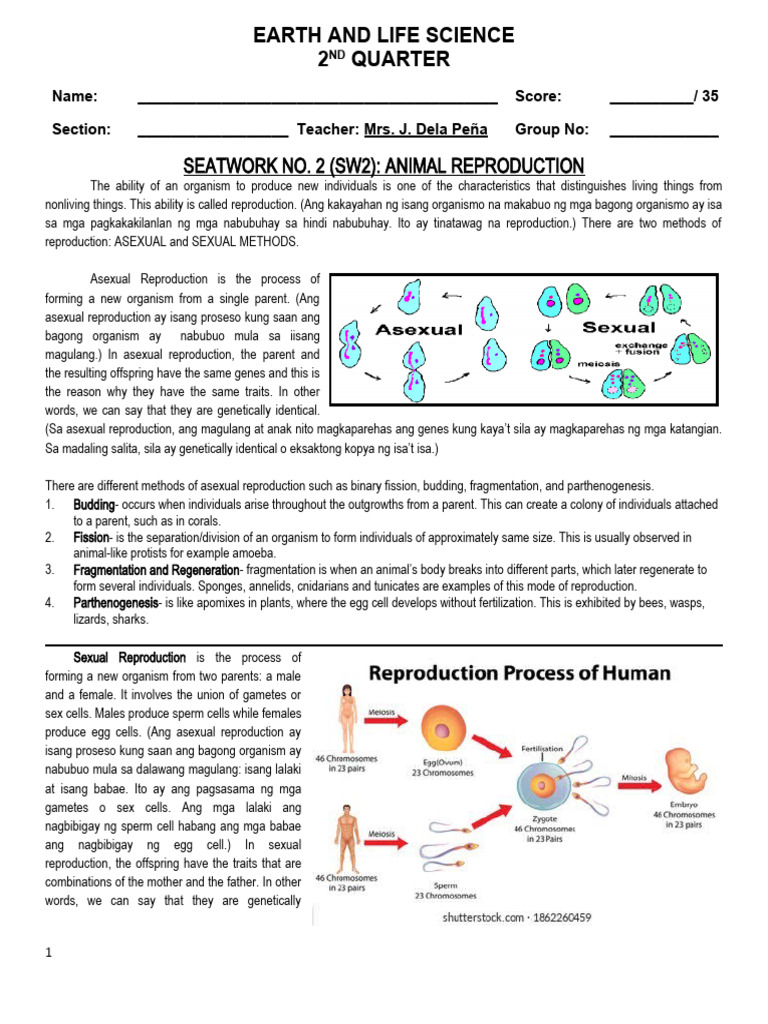 SW2 Animal Reproduction | PDF