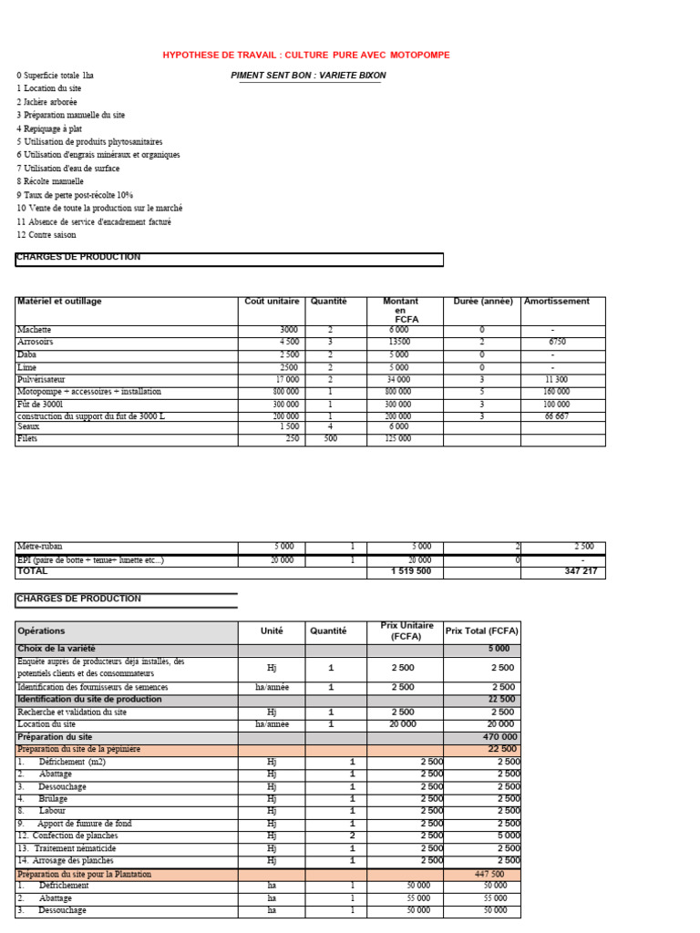Compte D'exploitation Piment Sent Bon | PDF