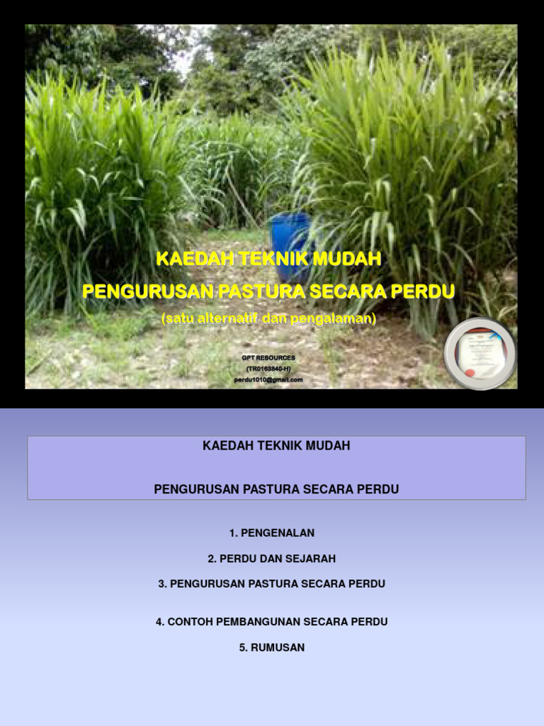 Pengurusan Pastura Secara Perdu | PDF