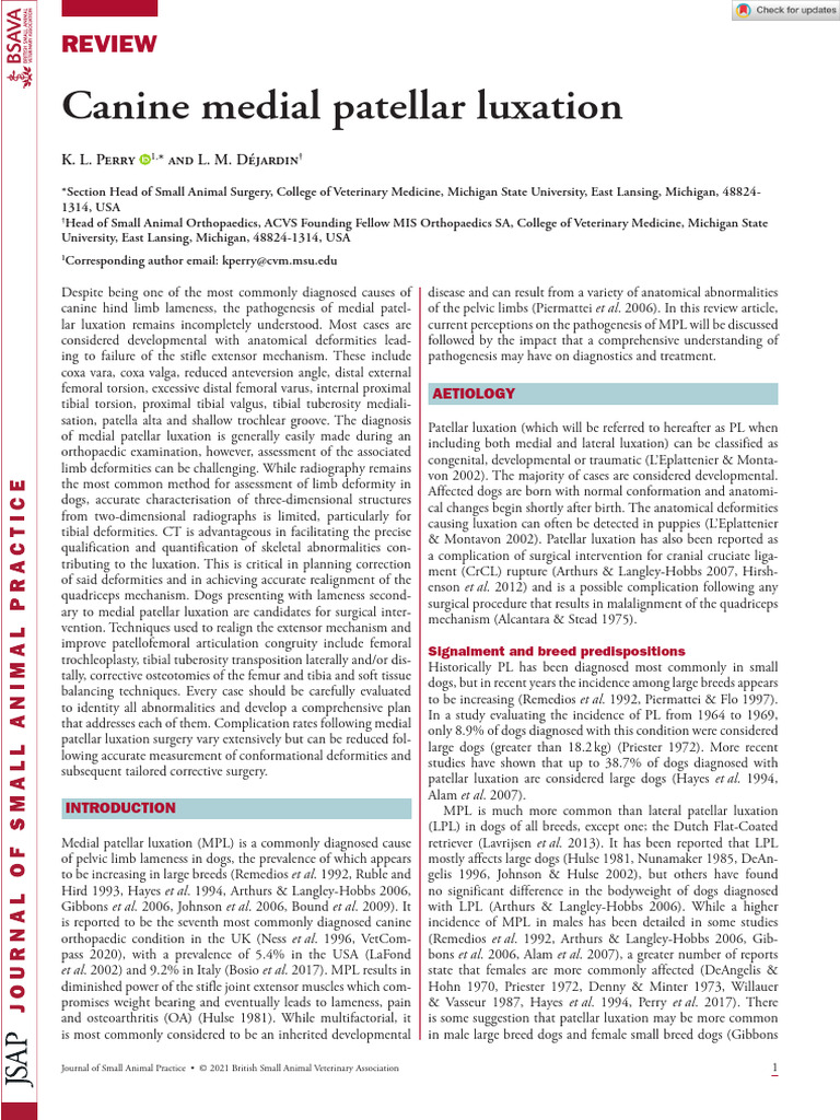 Canine Medial Patellar Luxation | PDF | Hip | Anatomical Terms Of Location