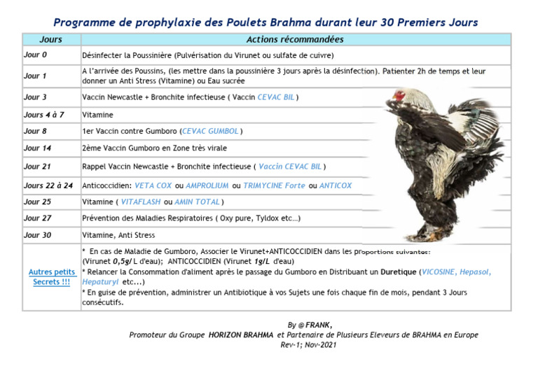 Prophylaxie Brahma | PDF