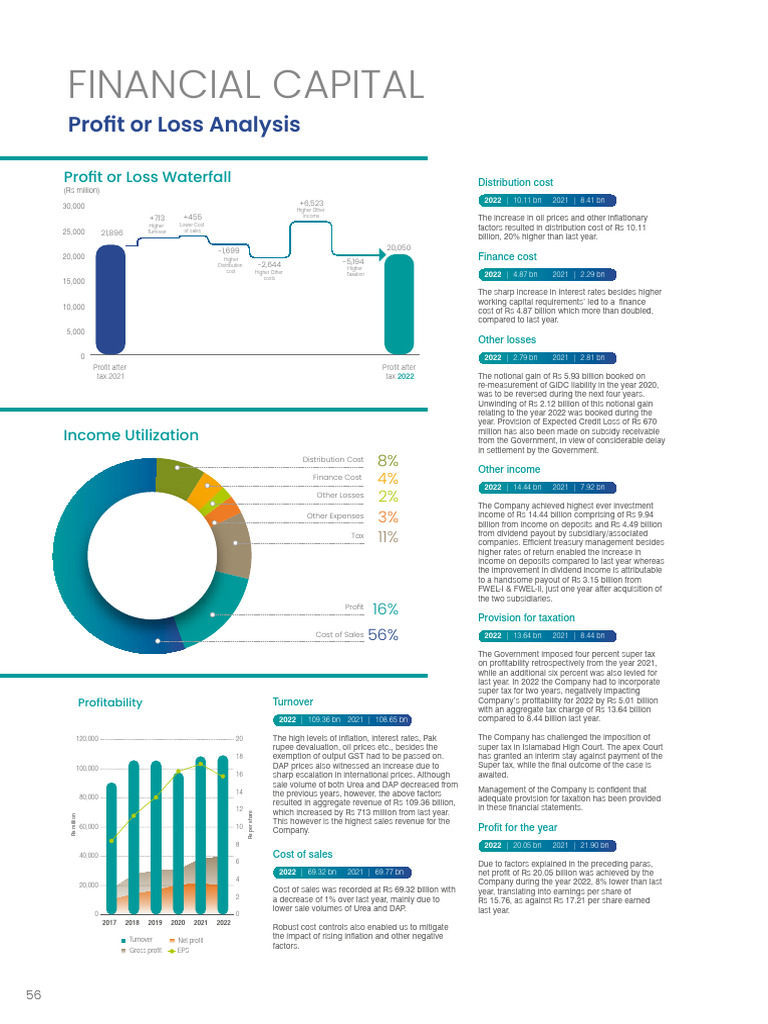 Financial Capital: Profit or Loss Analysis | PDF
