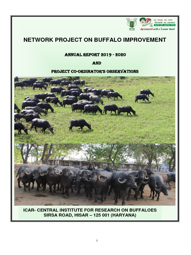 NPBI Annual Report 2019 20 | PDF