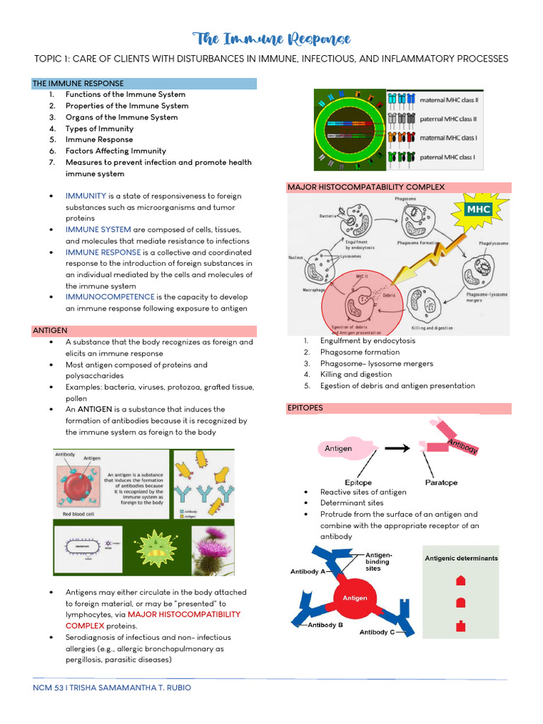 Notes 2 The Immune Response | PDF