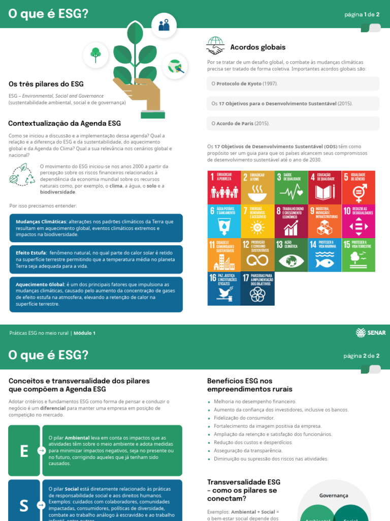Mapa Mental Módulo1 Pdf