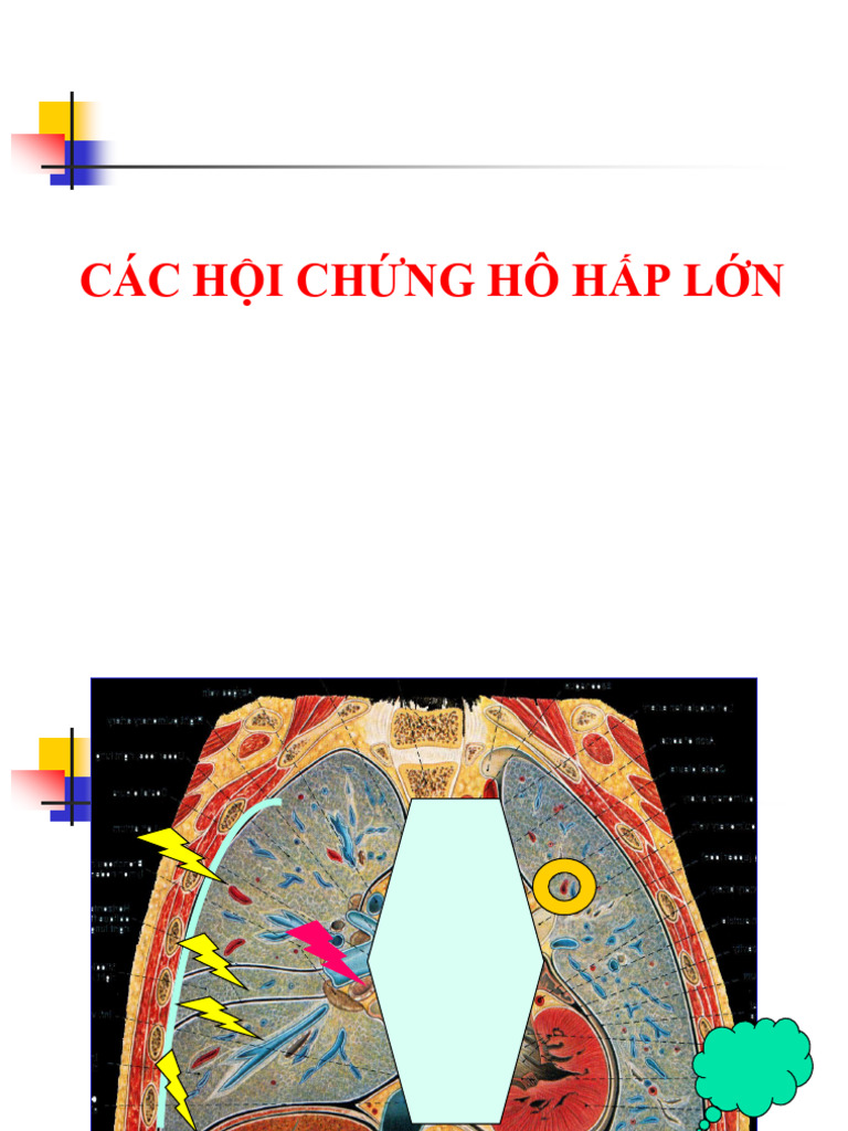 Tong Quan Hoi Chung HH Va Benh Thuong Gap | PDF