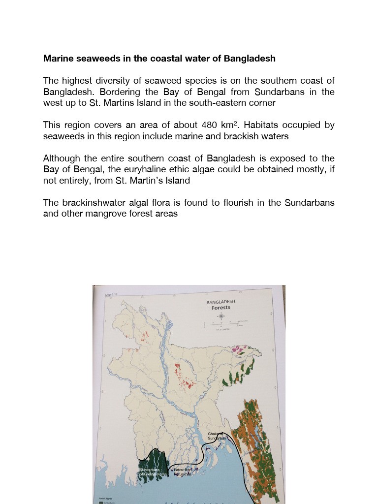 Seaweeds | PDF | Seaweed | Algae