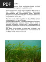 Seagrass Morphology and Anatomy Guide | PDF | Leaf | Tissue (Biology)