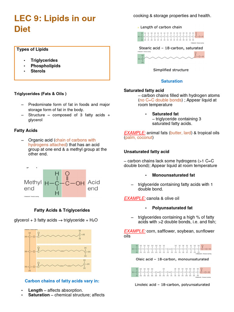 LEC 10 - Lipids in Our Diet | PDF
