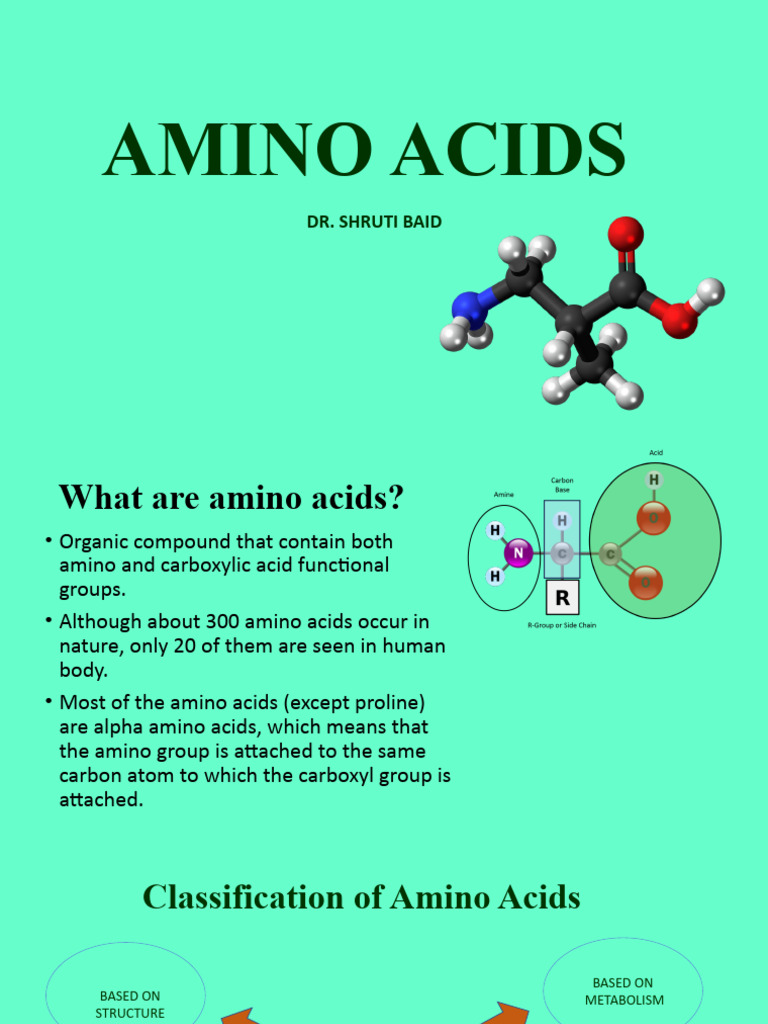 Amino Acids | PDF | Amino Acid | Proteins