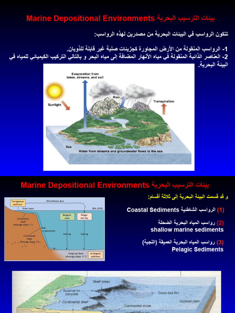 Lecture 4 Marine Depositional Environments | PDF
