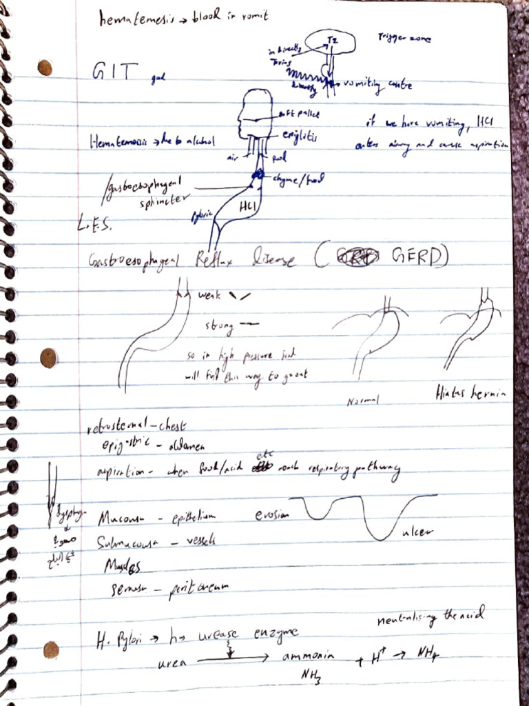 GIT Issues Notes | PDF