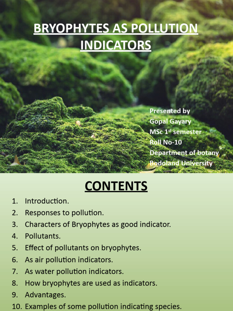 Bryophytes As Pollution Indicators 1 - 064718 | PDF
