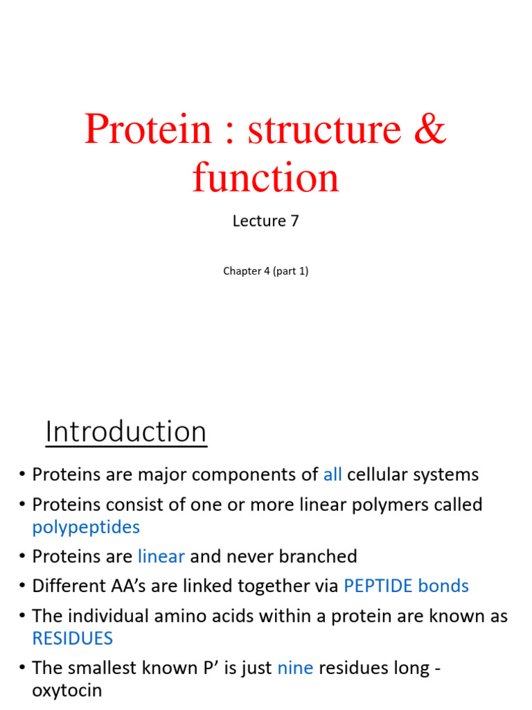 Protein Structure Function | PDF | Amino Acid | Proteins