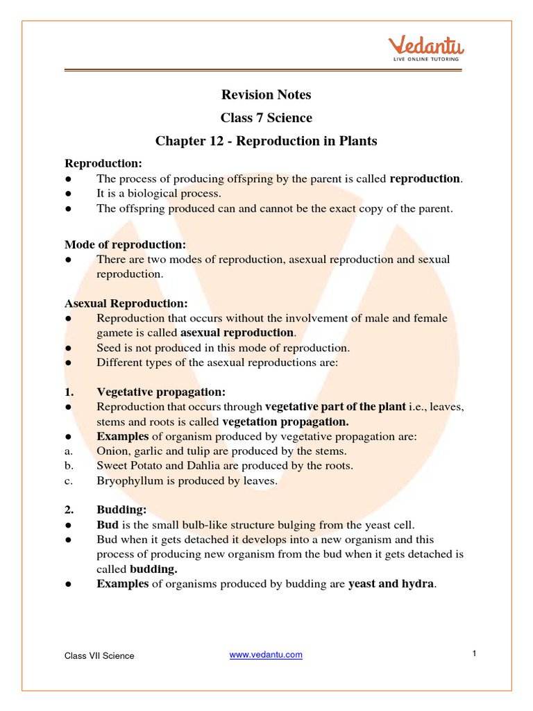 Reproduction In Plants Science Pdf Flowers Reproduction