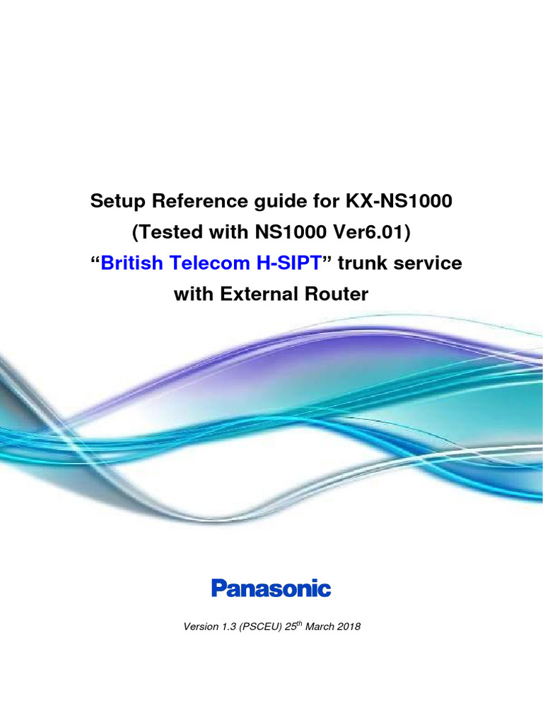 NS1000 Guidance For BT Ver - 1-3 | PDF | Session Initiation Protocol | Port (Computer Networking)