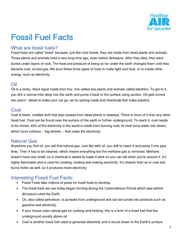 Fossil Fuel Facts Accessible | PDF
