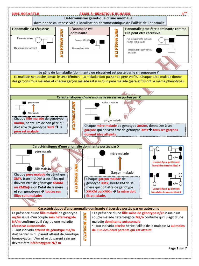 Série_5_Génétique_humaine[1] | PDF