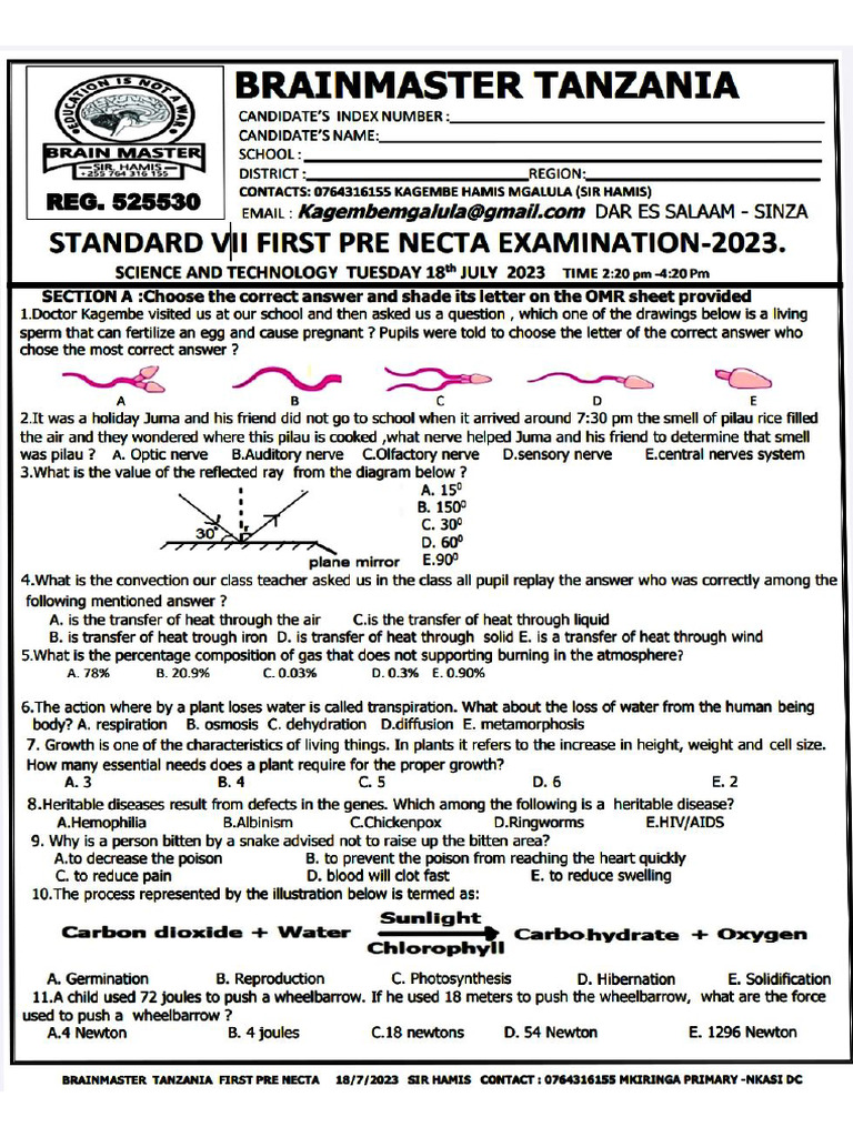 Brainmaster First Pre Necta G7 2023 | PDF