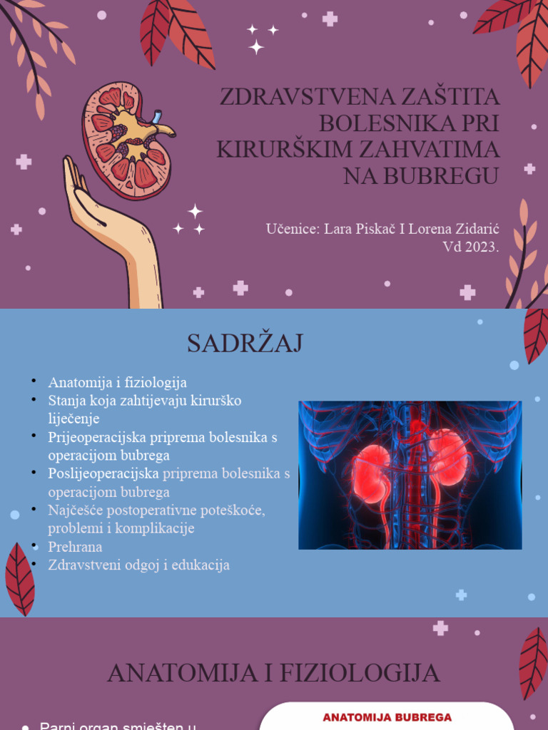 2.kir - Zahvati Na Bubregu | PDF