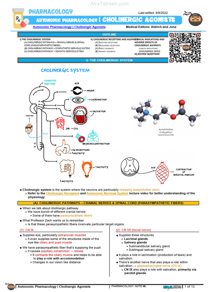 Cholinergic Agonists in Autonomic Pharmacology | PDF | Acetylcholine ...