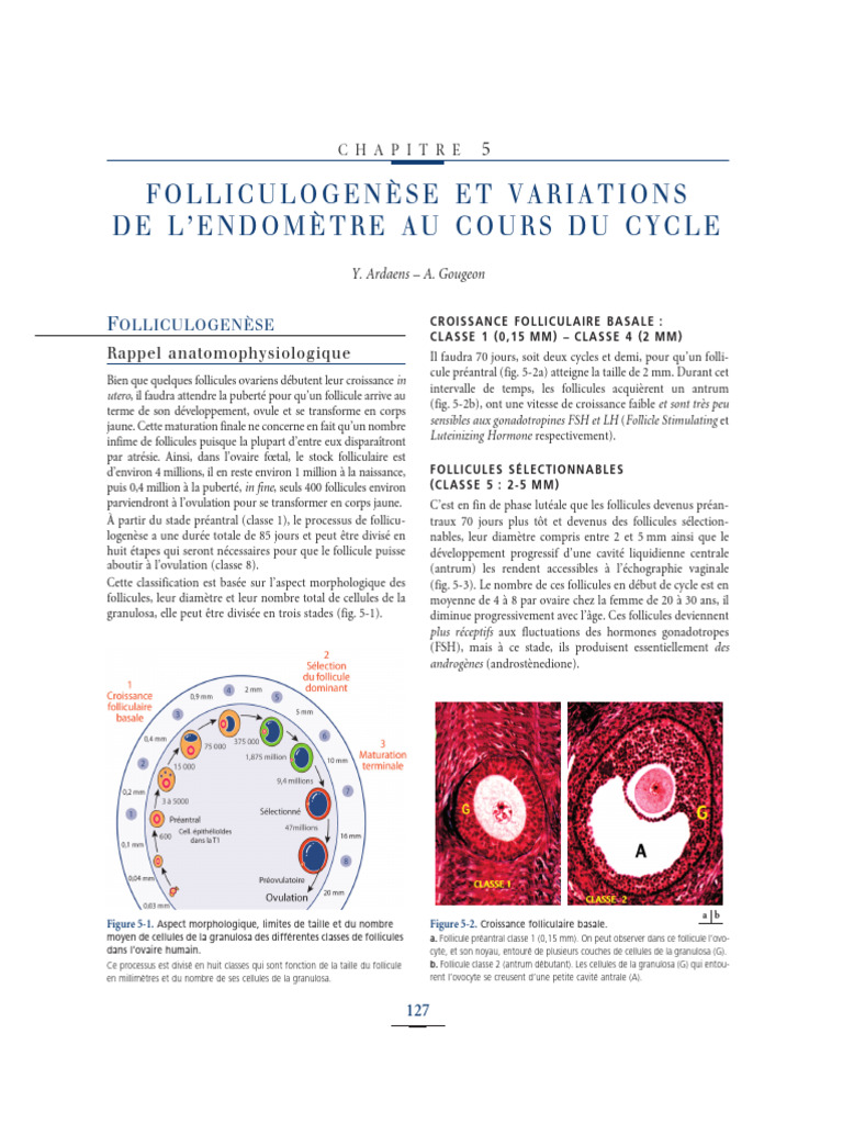 Chapitre 5 Folliculogen Se Et Variations de L Endom Tre Au Cours Du ...