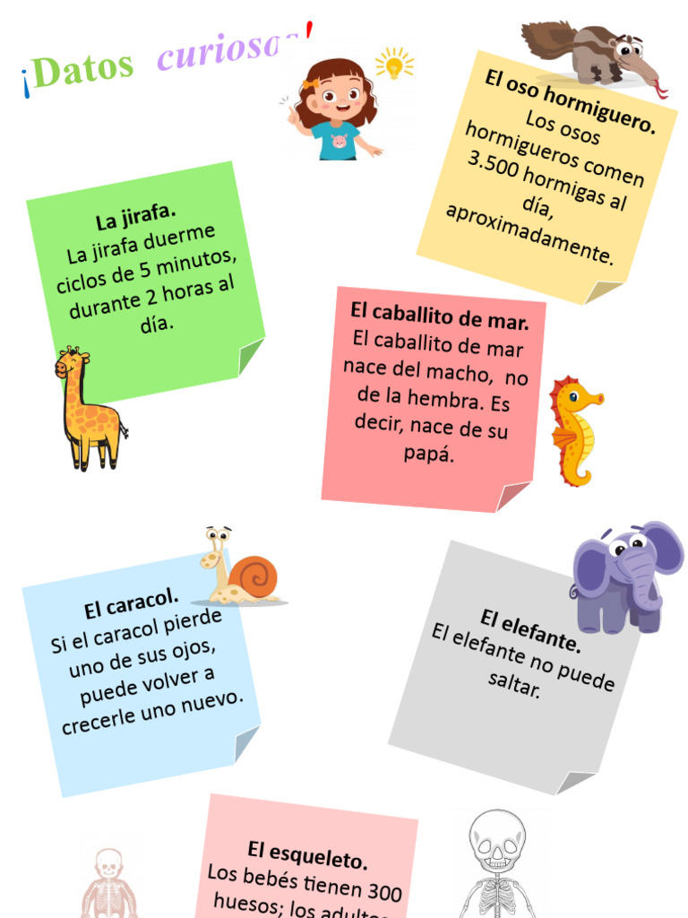 25 de Noviembre - Lectura de Datos Curiosos | PDF