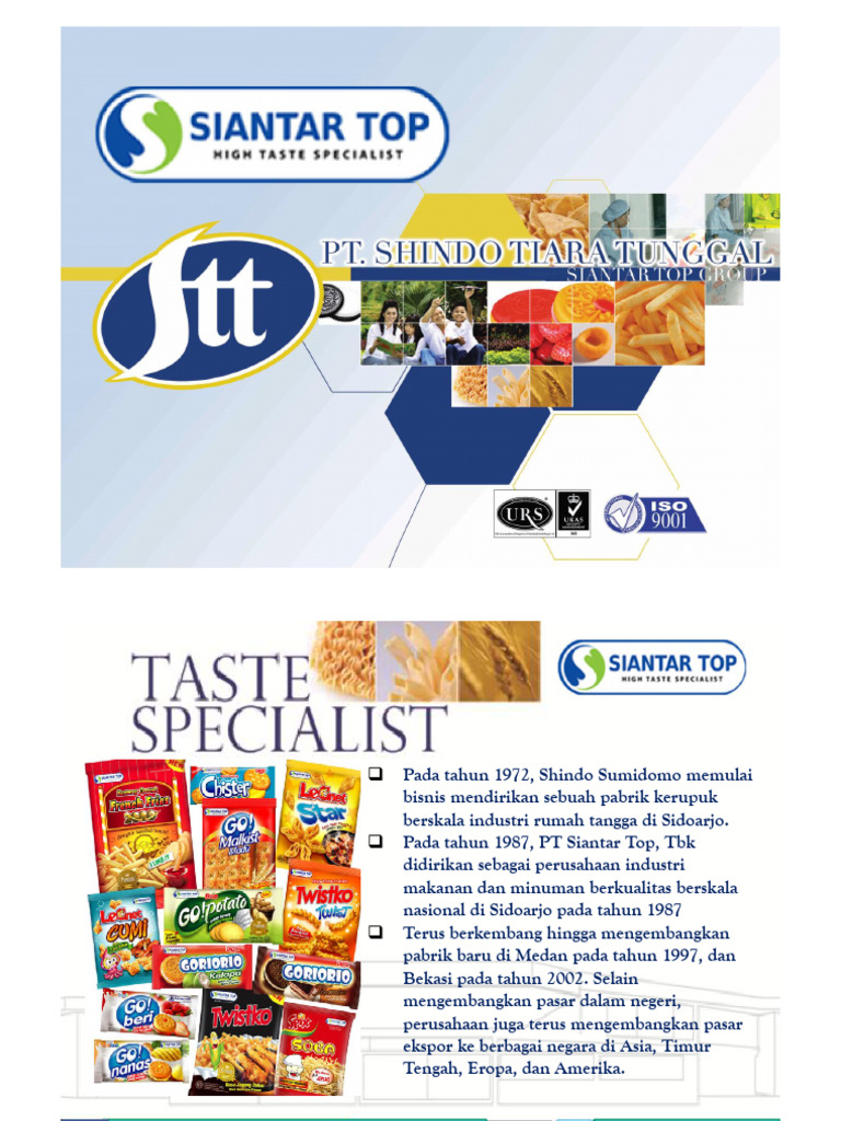 Company Profile PT Shindo Tiara Tunggal | PDF