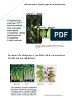 Le Carpelle : Organe des Angiospermes | PDF | Fruit | Embryon