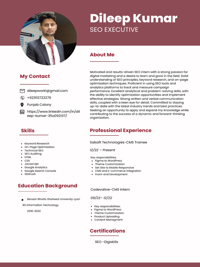 Dileep Resume (SEO) | Download Free PDF | Search Engine Optimization | Analytics
