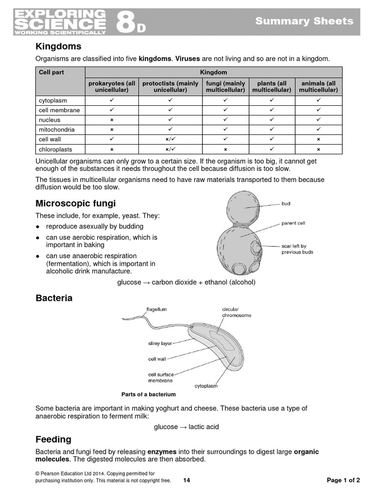 8D-Unicellular-organisms - Summary Sheet | PDF | Cell (Biology) | Organisms