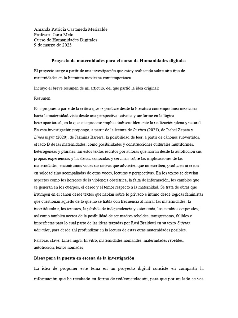 Proyecto Maternidades Amanda Patricia Castañeda Merizalde | PDF