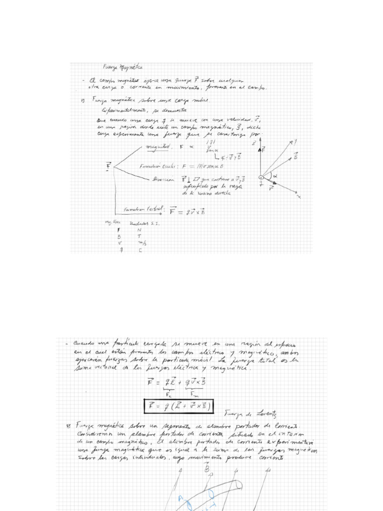 Fuerza y Torque Magnético 1 | PDF