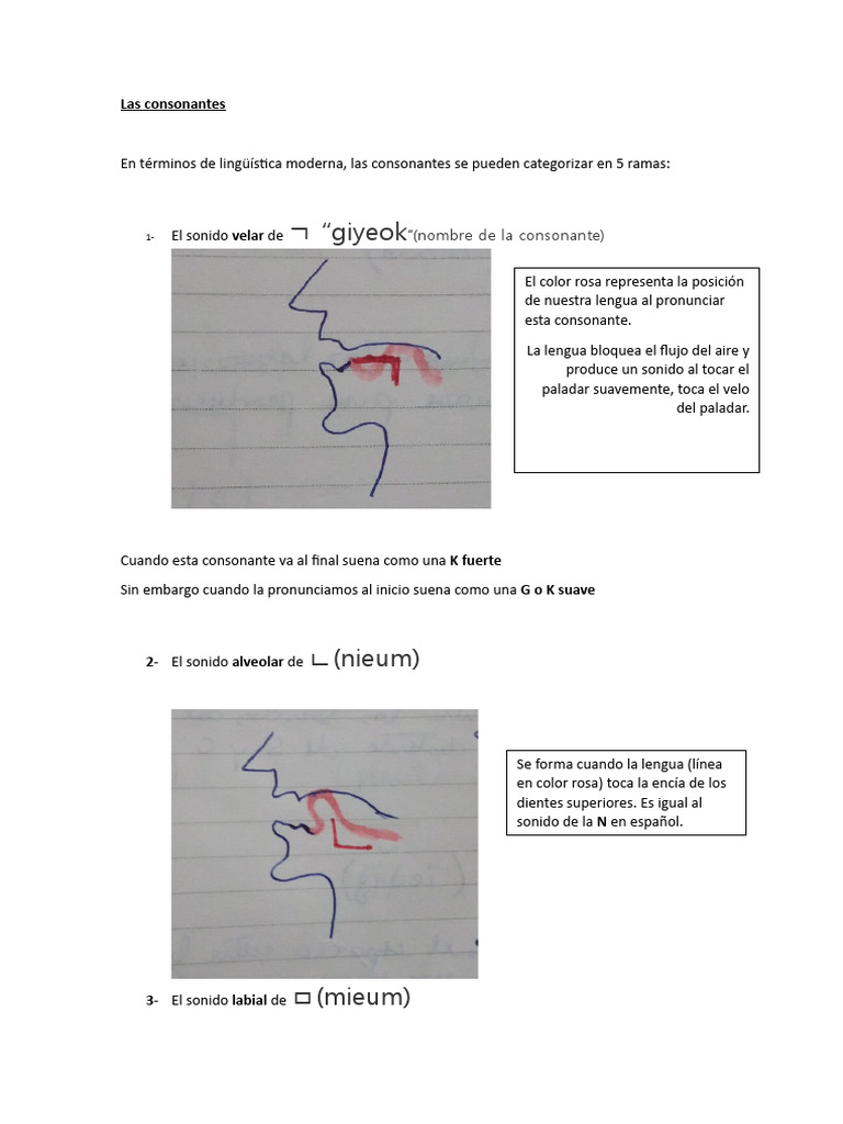 Las Consonantes y Sus Sonidos | PDF