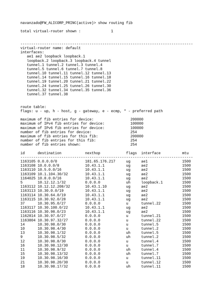 Tabla de Enurtamiento Principal Palo Alto | PDF | Digital Technology | Computing