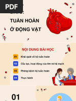 PHẦN II CÂU HỎI ĐÚNG SAI DINH DƯỠNG TIÊU HÓA Ở ĐỘNG VẬT-1724230083 | PDF