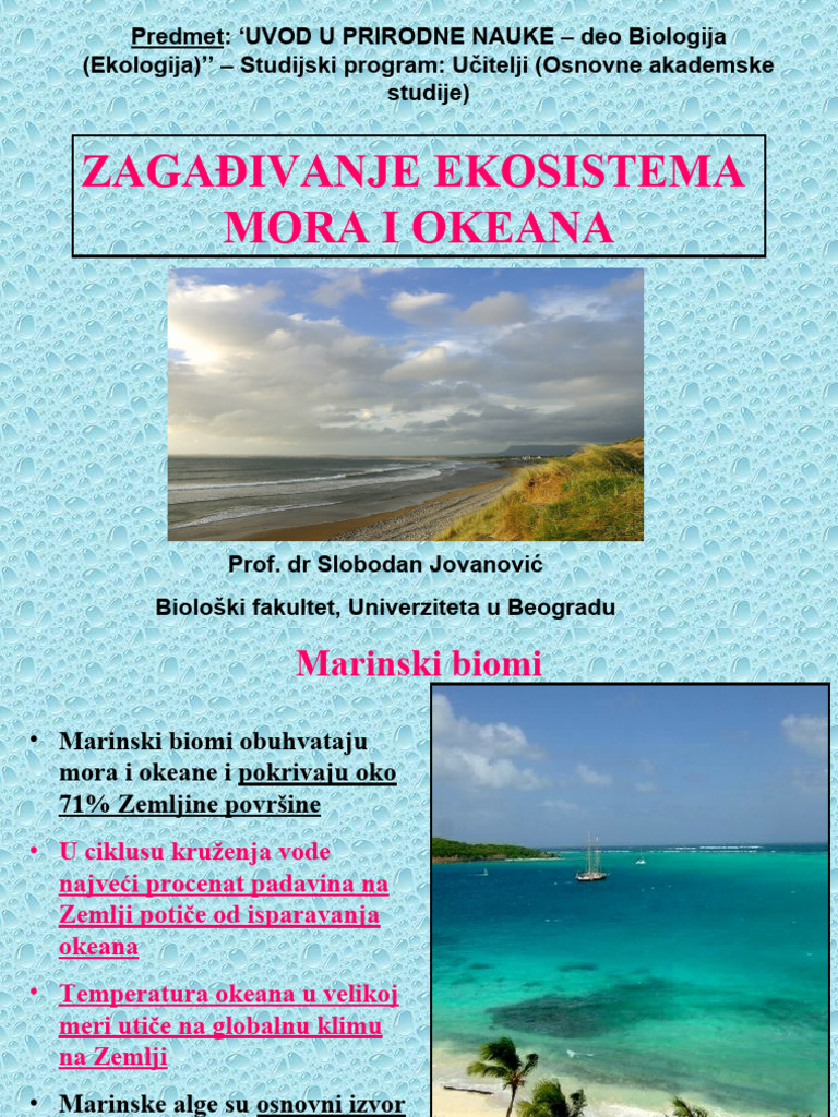 Zagadjivanje Mora I Okeana | PDF