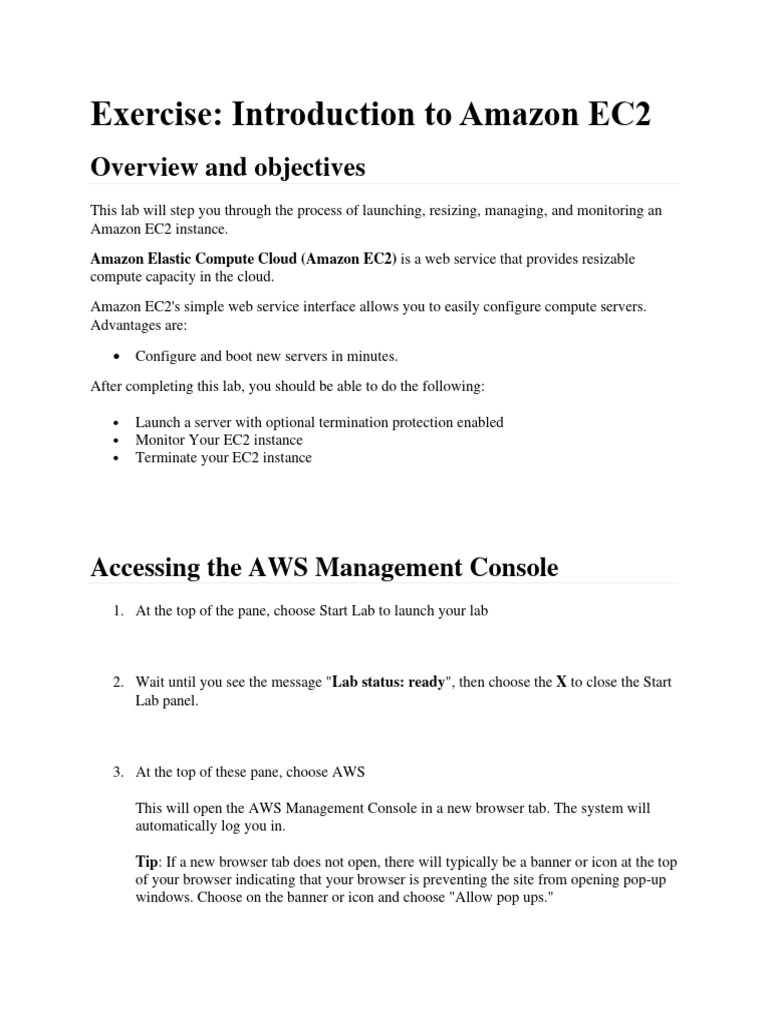 Launch An EC2 Instance | PDF