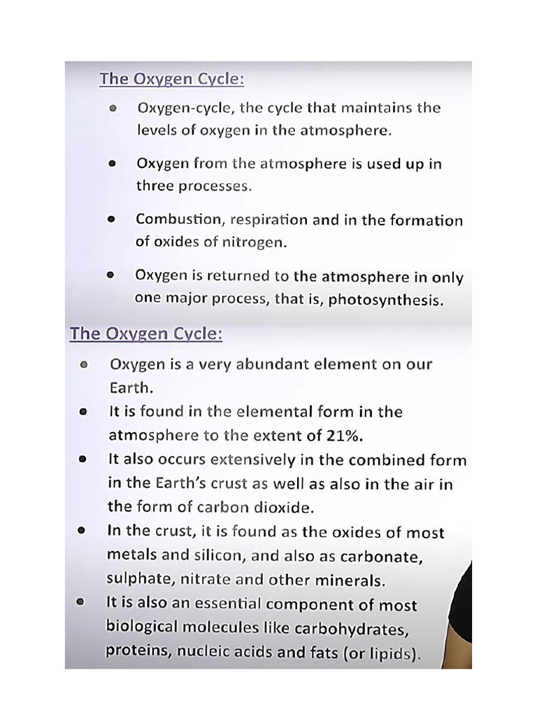 Oxygen Cycle | PDF