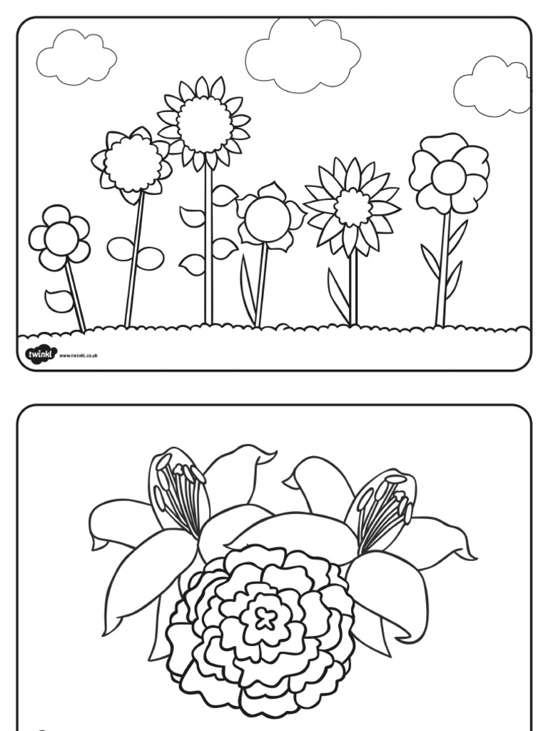T T 5689 Flowers Colouring Sheets | PDF