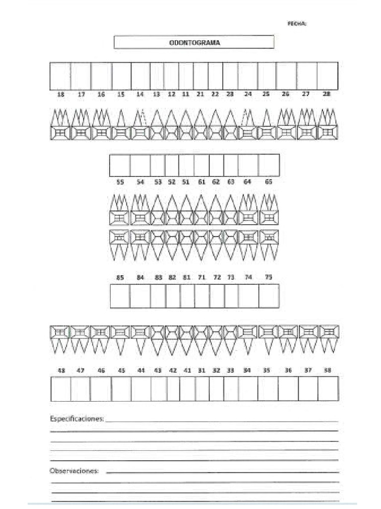 ODONTOGRAMA | PDF
