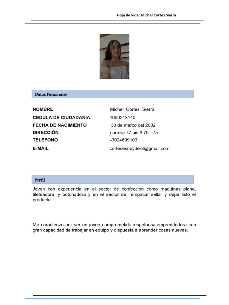 Hoja de Vida Michel | PDF