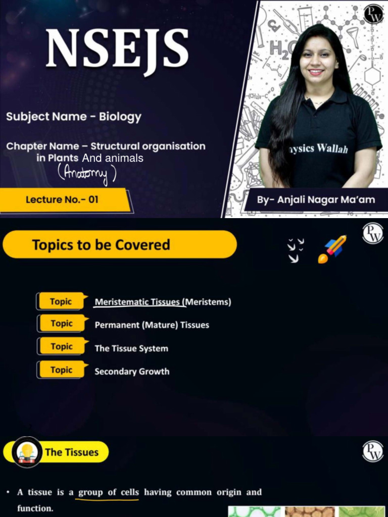 Structural Organisation in Animal & Plants 01 - Class Notes - NSEJS ...