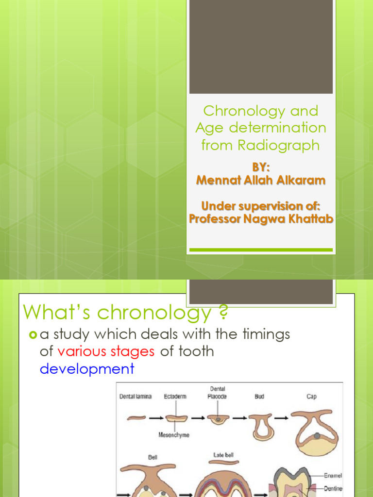 Chronology | PDF